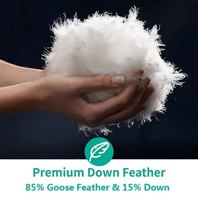 Luxurious goose feathers and dusty feathers blanket, 300 extremely soft ...